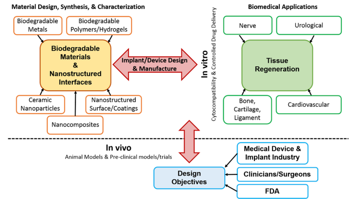 Research Area | Biomaterials & Nanomedicine Lab